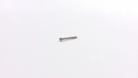 Richards / Smith & Nephew 2.7 mm Non-Locking Screw, 22 mm